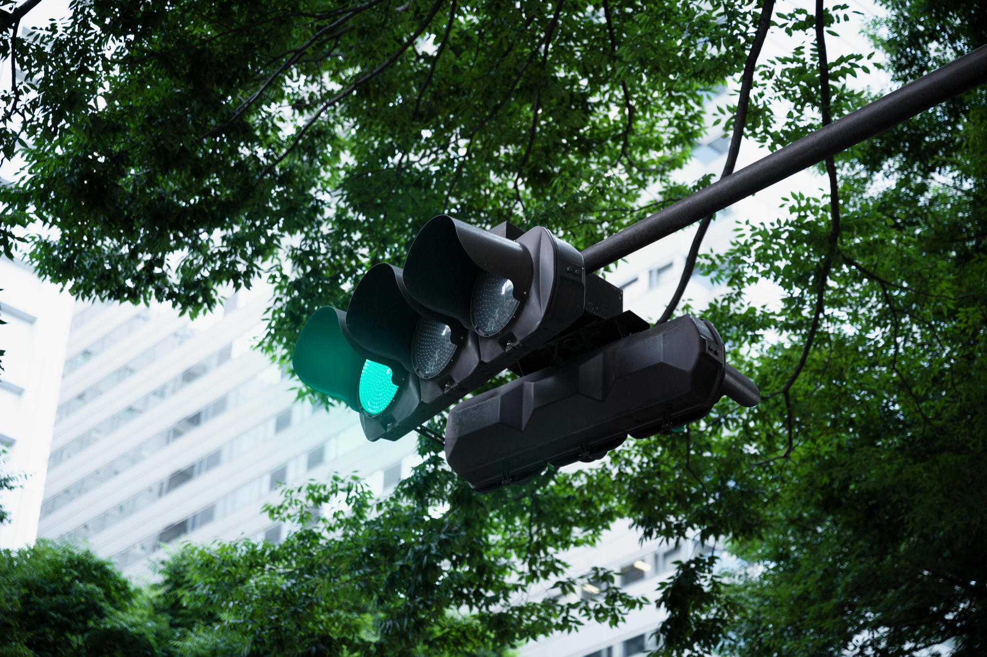 Smart Intersection Tips for Safer Driving | Get Drivers Ed