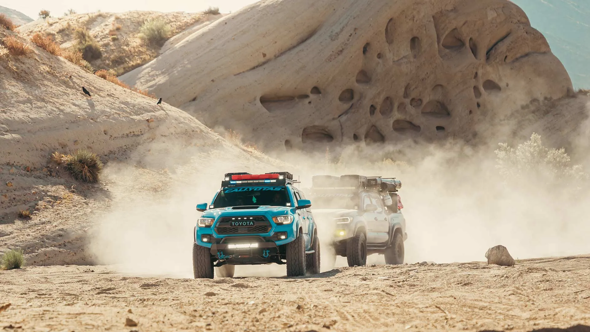 Best Off-Road Vehicles For Exploring Fort Worth Trails
