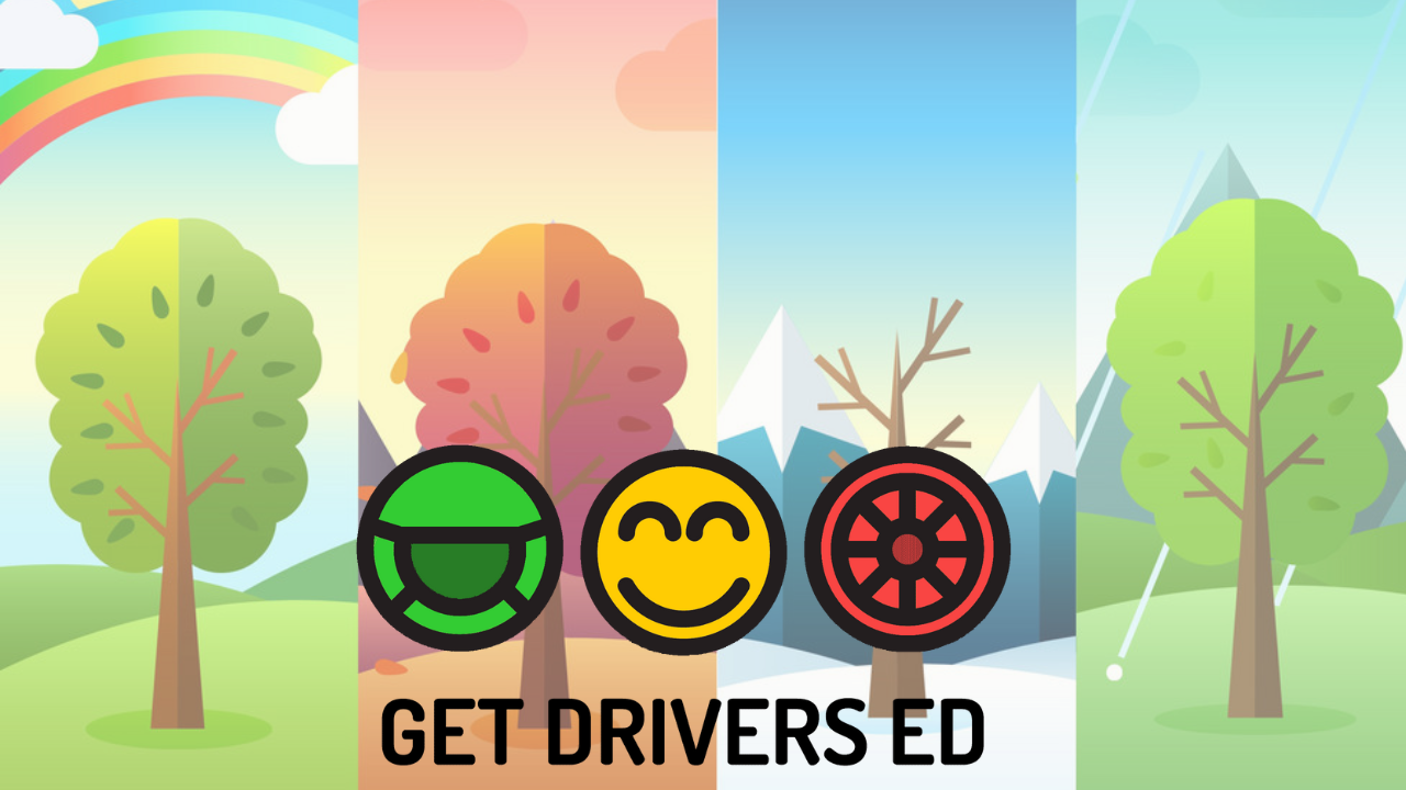 All-Weather Cars For Year-Round Comfort - Get Drivers Ed